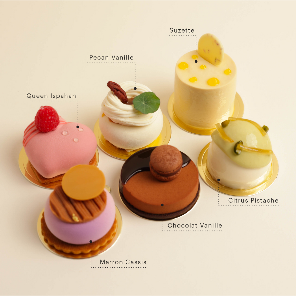 Joie Box – Nesuto Singapore