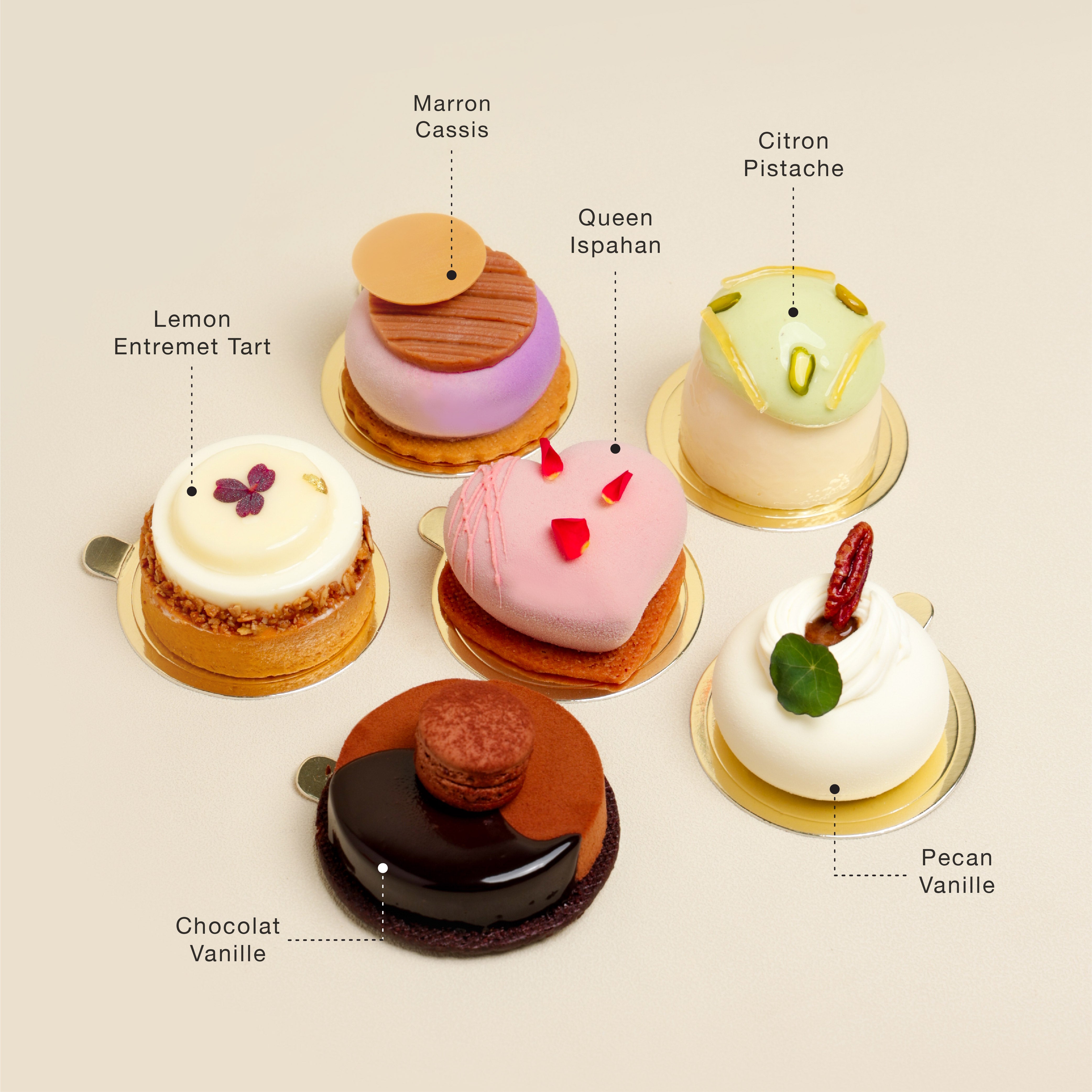 Joie Box – Nesuto Singapore