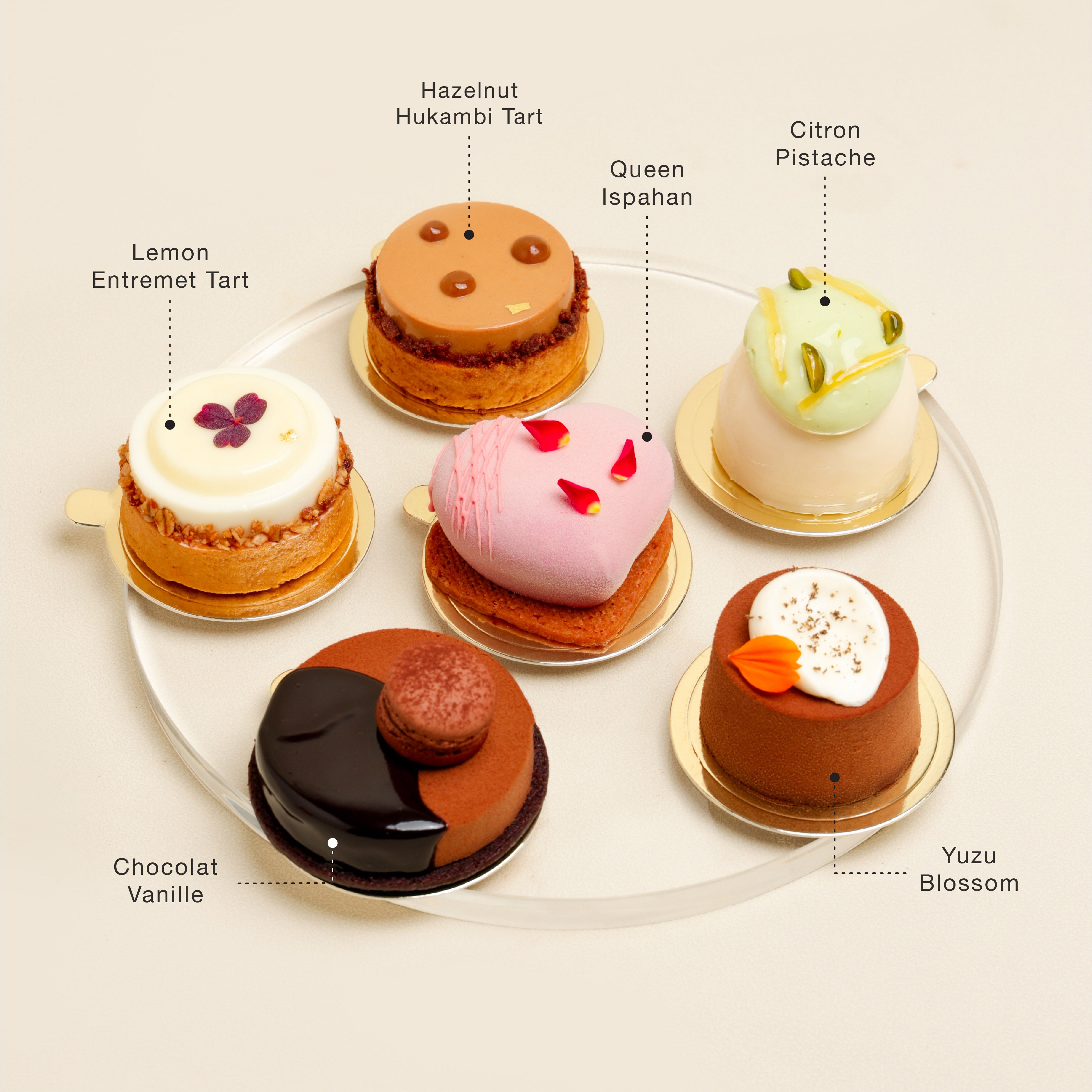 Joie Box – Nesuto Singapore